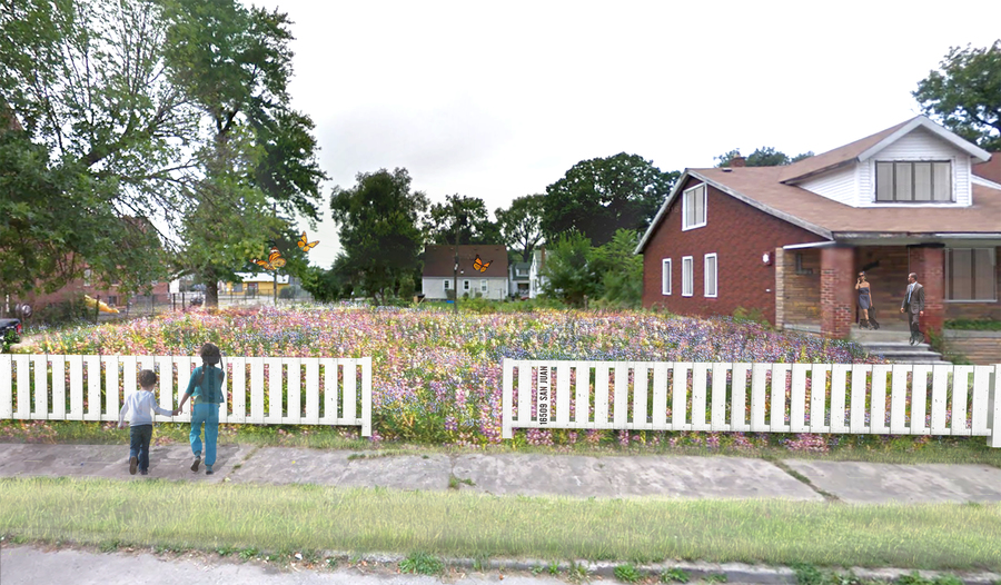 PHOTOS: Detroit Revitalization Plan - Gallery