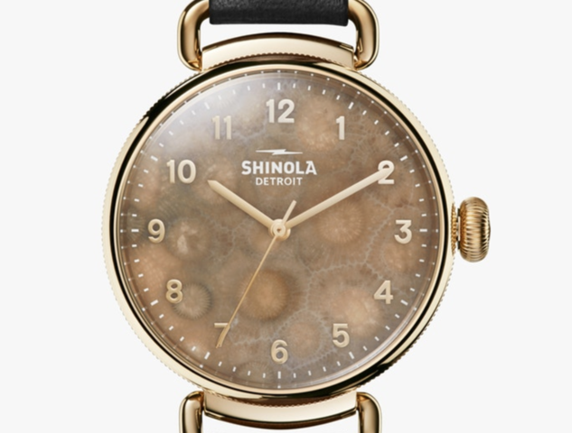 Shinola Petoskey Stone Watch