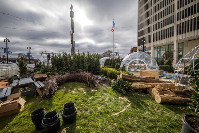 Eat, shop and play at the Downtown Detroit Winter Market - Gallery