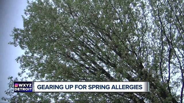 Why you should start preparing for spring allergies now - WXYZ.com